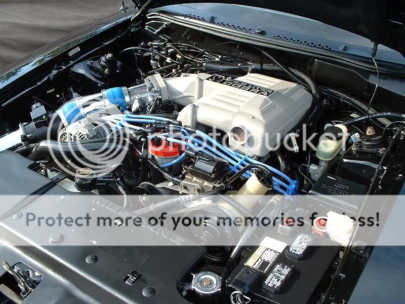 Let's see some clean 5.0 engine bay pics! | SN95Forums The Only SN95 ...
