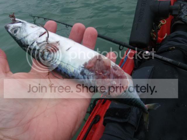 Kayaking - Tywyn (Mid Wales) - The Fishermans Net
