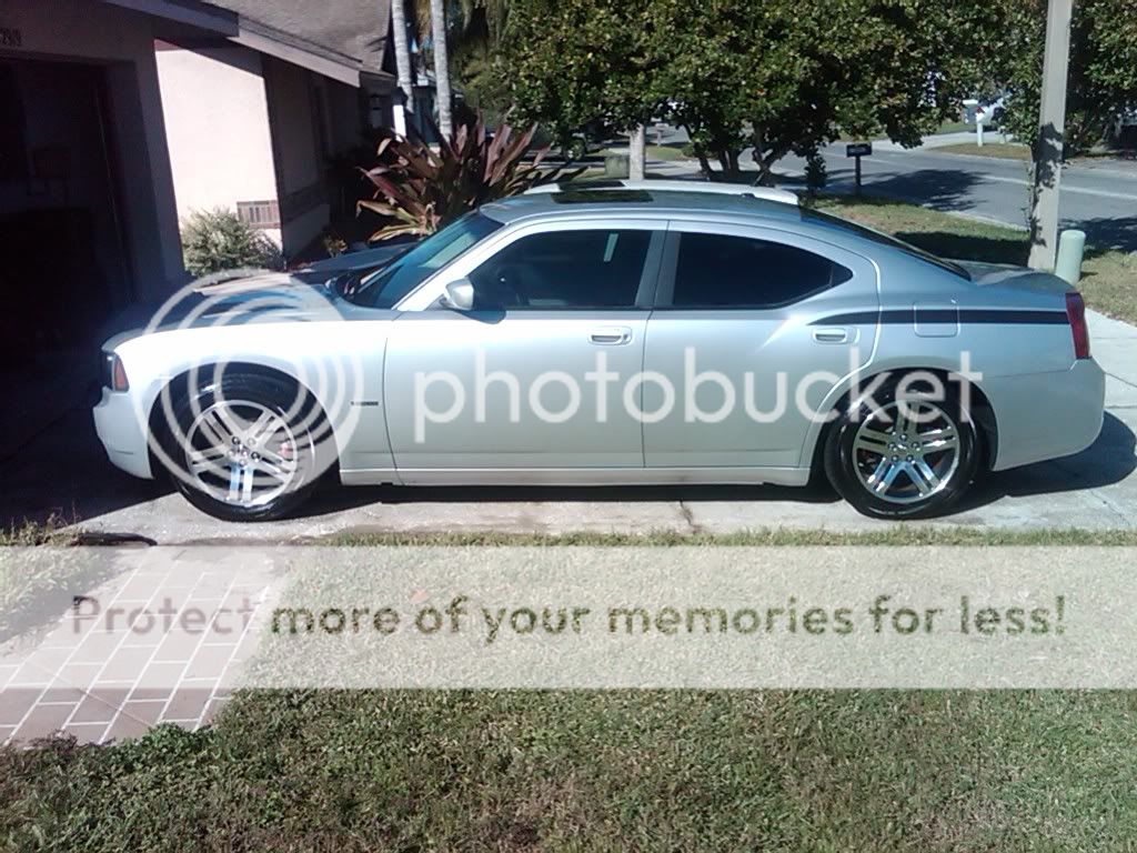 spark plug mutch | VW Forum