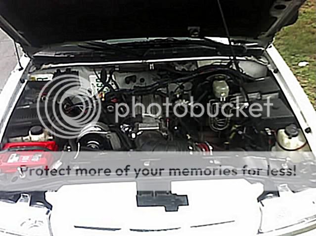 2.0 engine | VW Forum