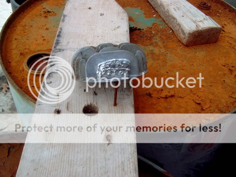 fixing broken fins on the head? | Jockey Journal Forum