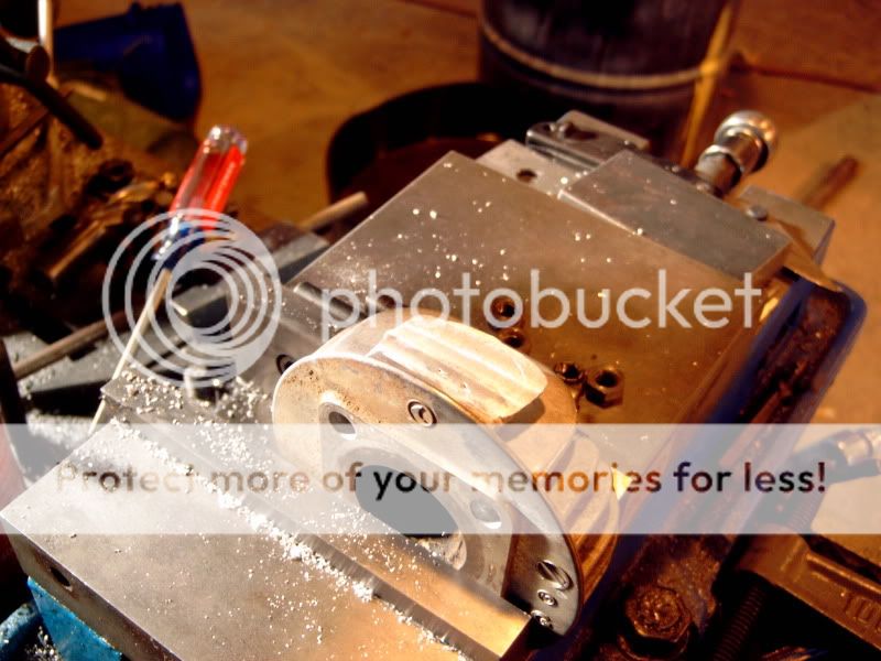 fixing broken fins on the head? | Jockey Journal Forum