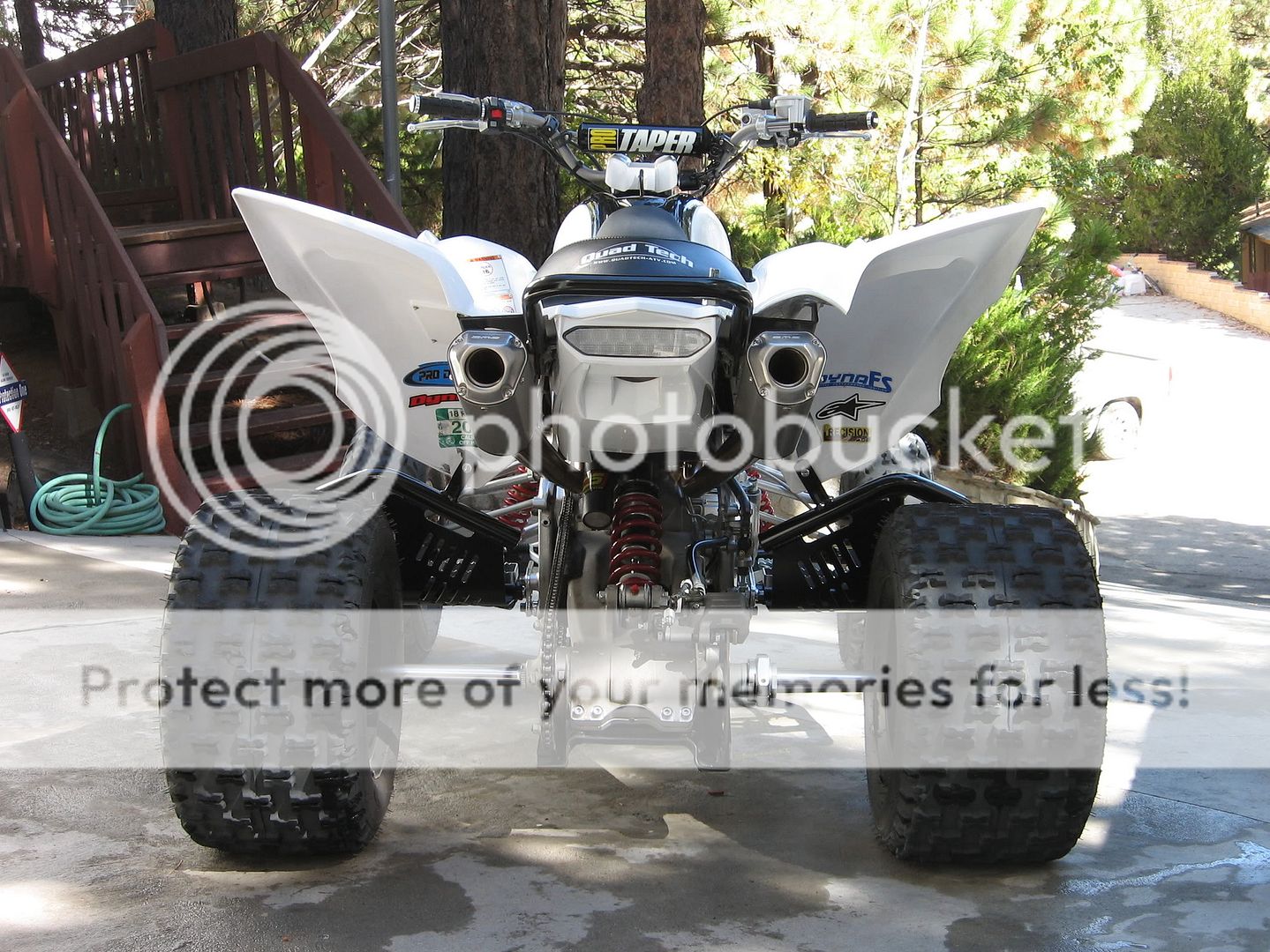 August Raptor of the Month! | Raptor Forum