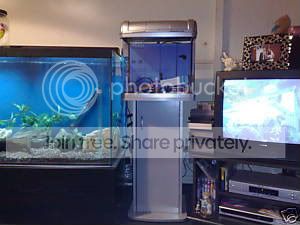 Interpet River Reef Aquarium - 48L,With Interpet Stand. | Reptile Forums